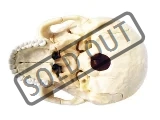 4D MASTER Anatomický 4D model - Lidská lebka | Puzzle-puzzle.sk