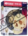 4D MASTER Anatomický 4D model - Lidská lebka | Puzzle-puzzle.sk